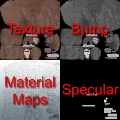 grizzly bear rigged 3D Model in Bear 3DExport