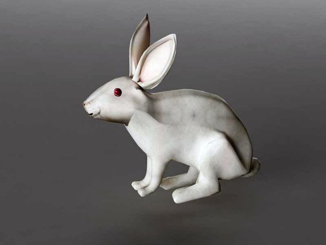 rabbit rigid 3D Model in Other 3DExport