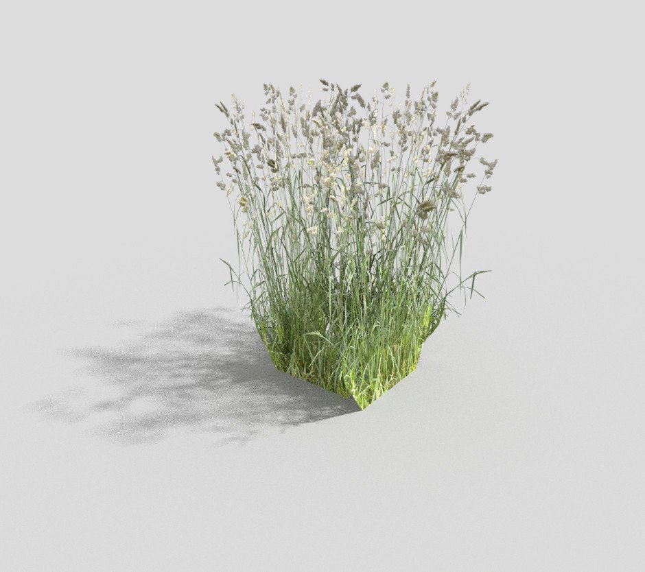 Low poly grass 3D Model in Bush 3DExport