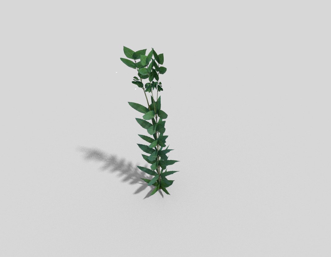 low poly plant 3D Models in Grass and Ground Cover 3DExport