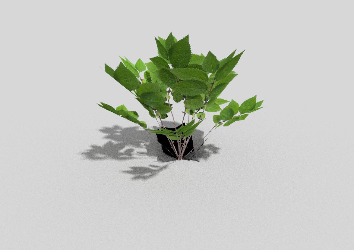 low poly plant 3D Models in Small Plants 3DExport
