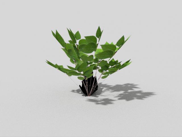 low poly plant 3D Model in Small Plants 3DExport