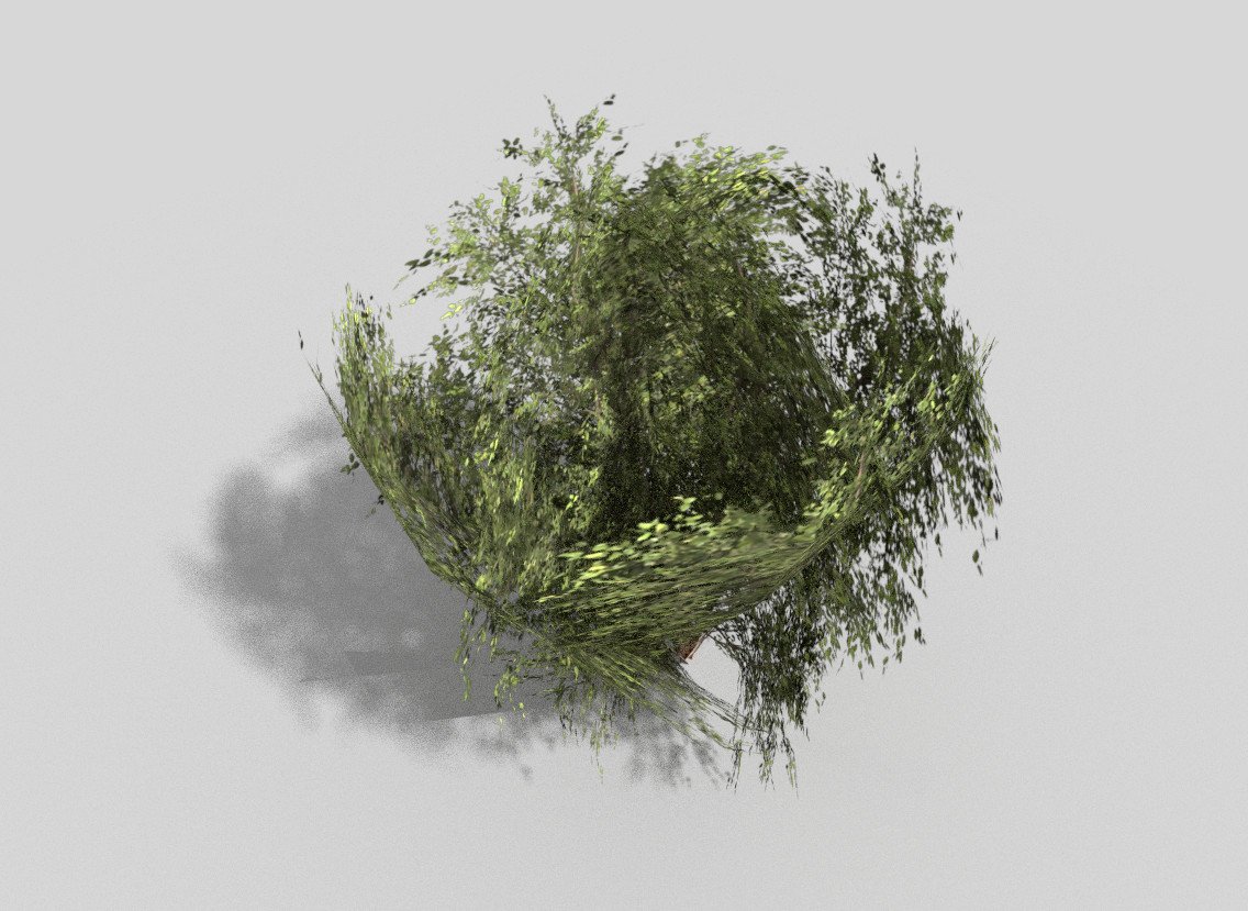 low poly shrub 3D Models in Bush 3DExport