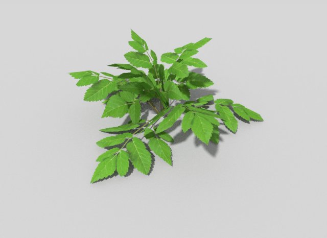 low poly plant 3D Model in Grass and Ground Cover 3DExport