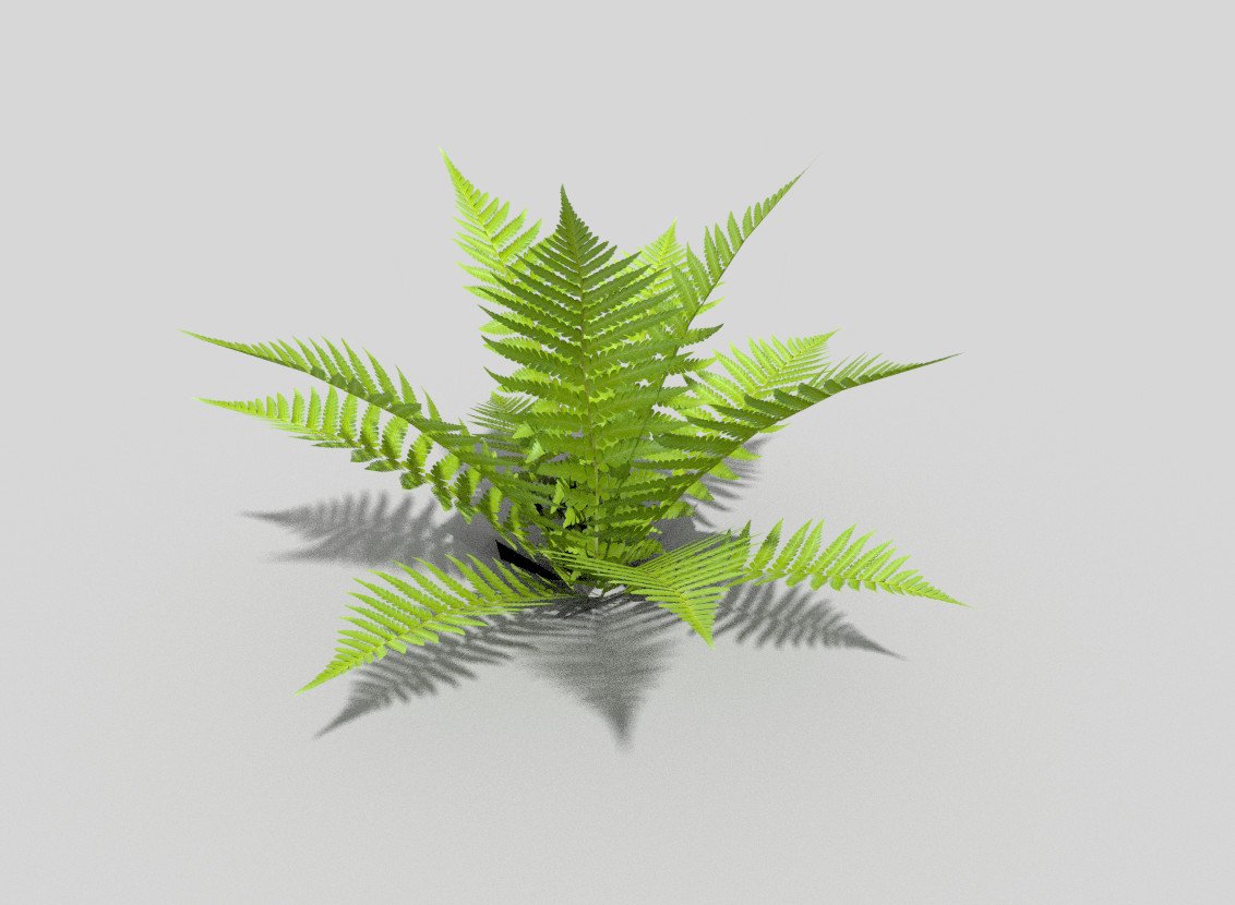 low poly fern 3D Models in Small Plants 3DExport