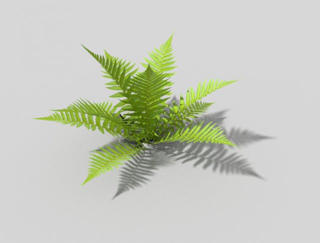 low poly fern 3D Model in Small Plants 3DExport