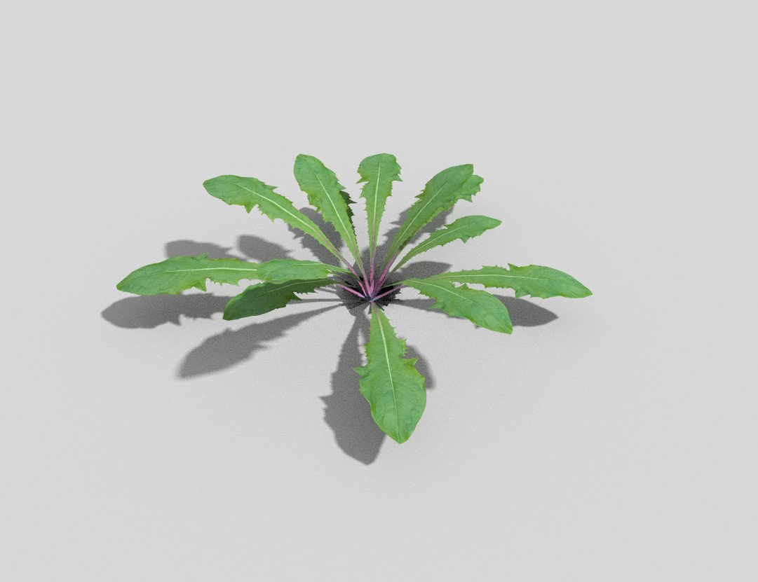 low poly plant 3D Models in Small Plants 3DExport