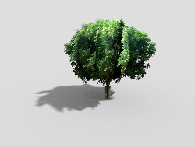 low poly tree 3D Model in Tree 3DExport