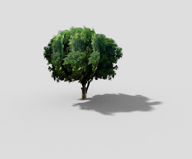 low poly tree 3D Model in Tree 3DExport