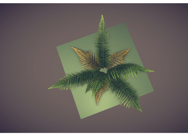 low poly fern 3D Model in Bush 3DExport