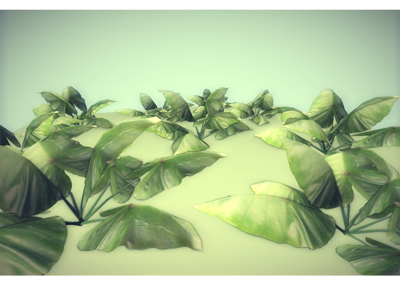 low poly plant 3D Models in Small Plants 3DExport