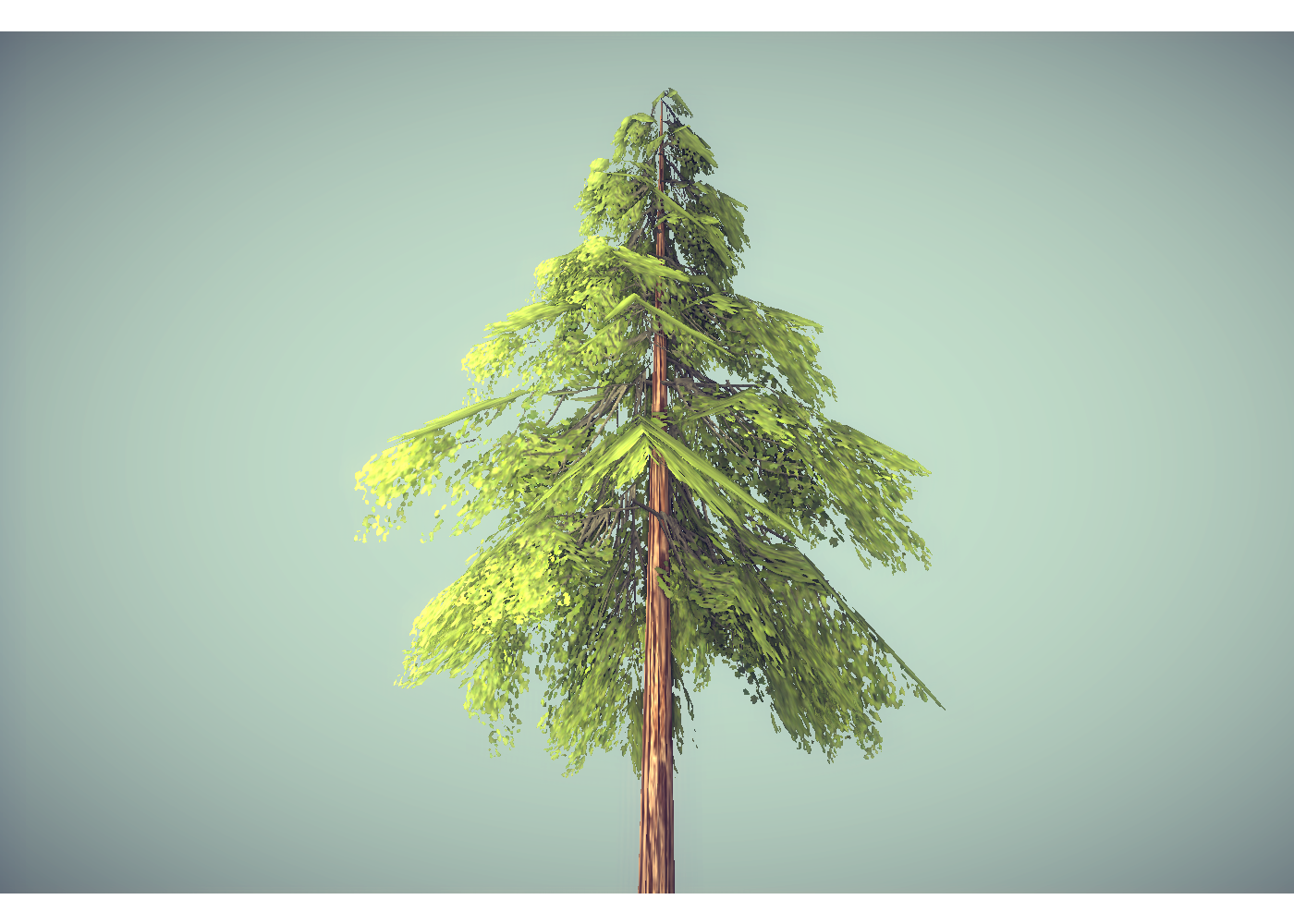 low poly pine tree 3D Models in Small Plants 3DExport