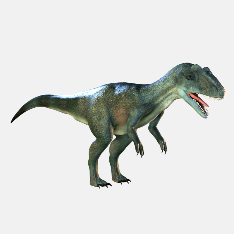 Allosaurus Dinosaur 3D Model in Dinosaur 3DExport