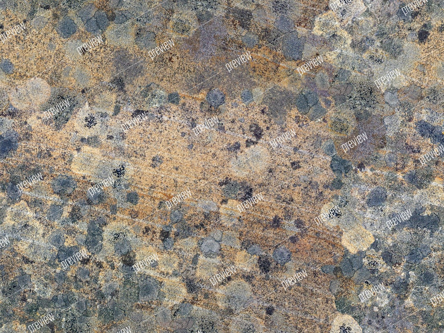 Seamless Lichen Covered Sandstone texture 3D Model in Rock 3DExport
