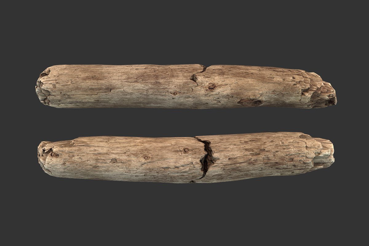 broken stick 3D Models in Tree 3DExport