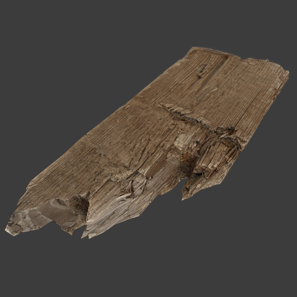 Wood Plank Debris 3D Model in Tree 3DExport