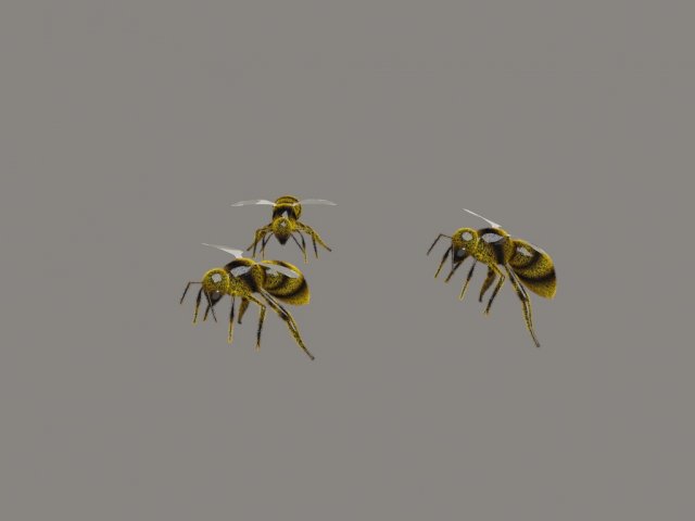 bee 3D Model in Insects 3DExport