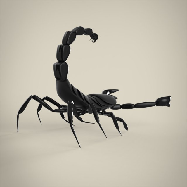 scorpio 3D Model in Insects 3DExport