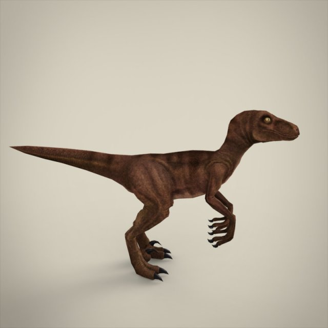 raptor 3D Model in Dinosaur 3DExport