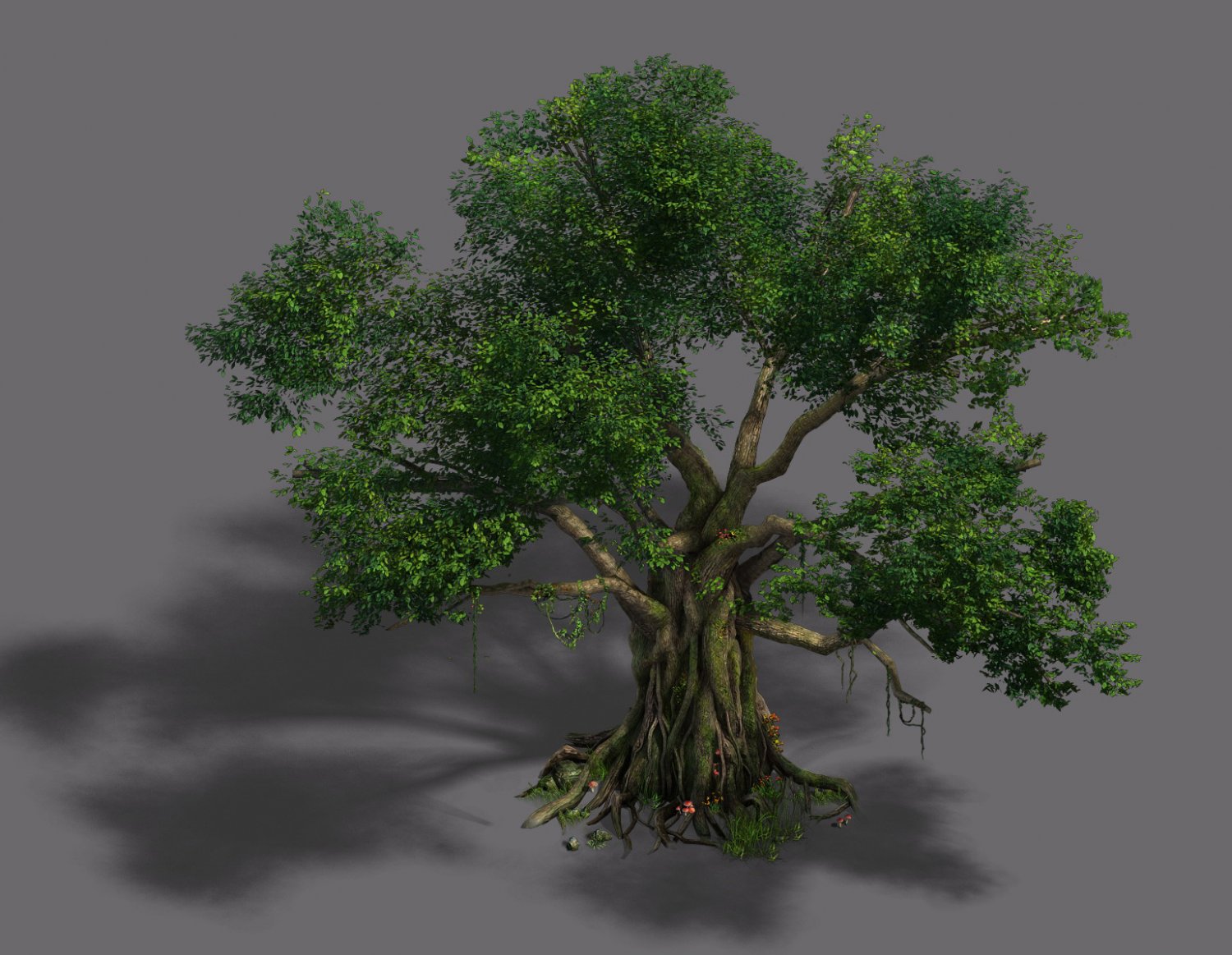 plant - banyan tree 3D Models in Decoration 3DExport