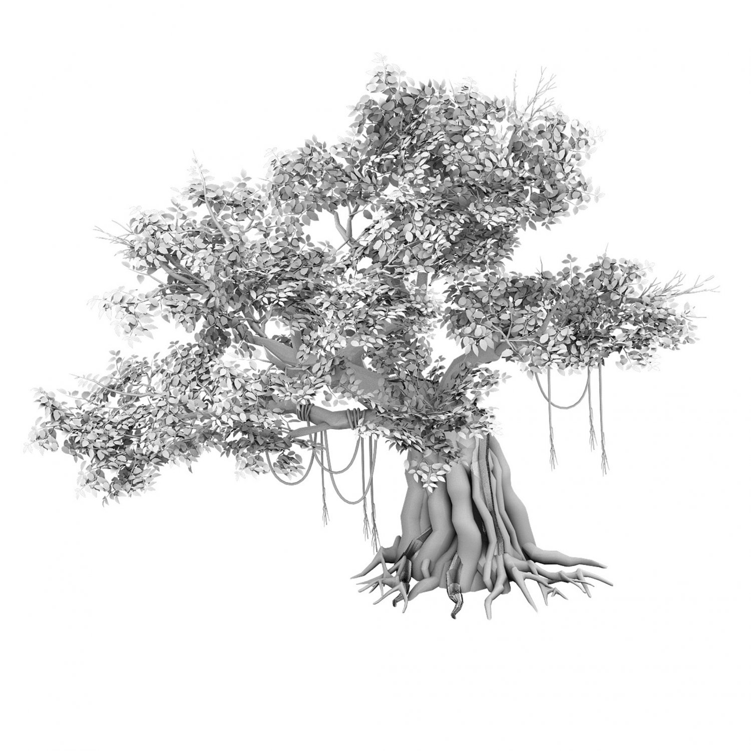 plant - banyan tree 02 3D Models in Decoration 3DExport