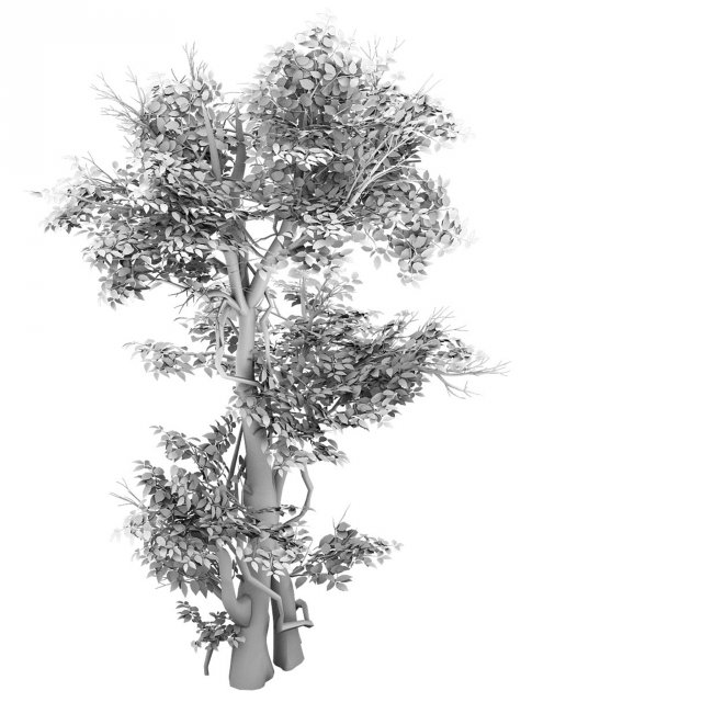 plant - banyan tree 04 3D Model in Decoration 3DExport