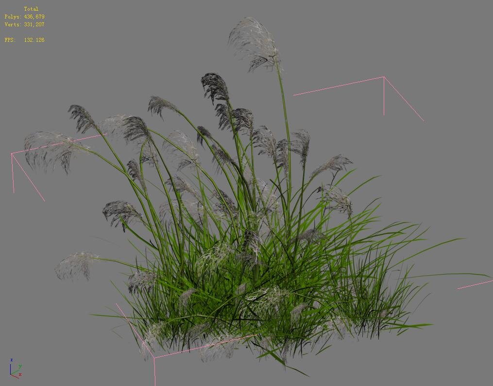 lakeside plants - reed 01 3D Models in Bush 3DExport