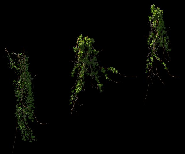 general plant - vines 02 3D Model in Bush 3DExport
