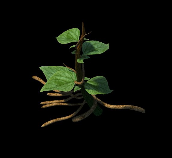 plant trees - vines 01 3D Models in Bush 3DExport