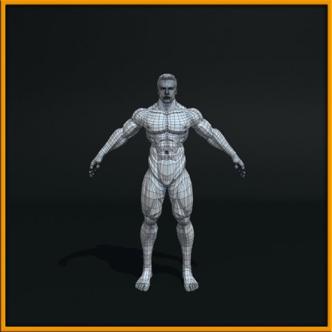 realistic male body 3D Model in Man 3DExport