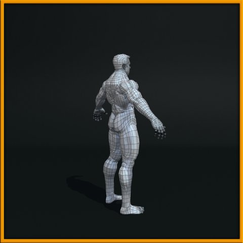 realistic male body 3D Model in Man 3DExport