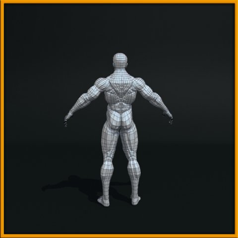 realistic male body 3D Model in Man 3DExport