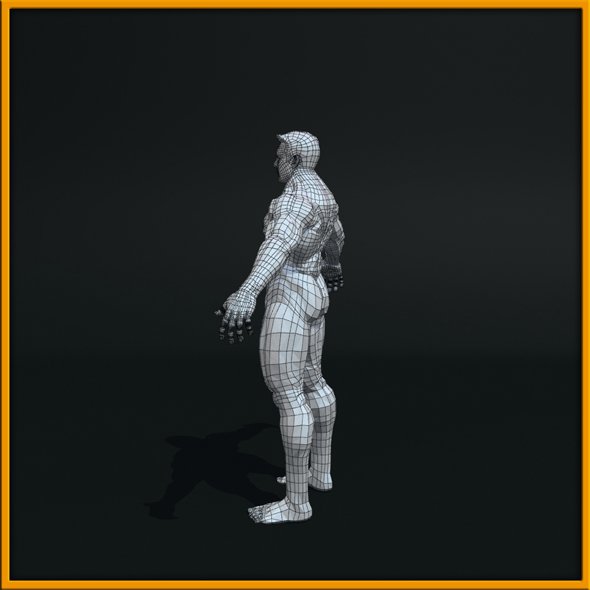 Realistic Male Body 3D Model in Man 3DExport