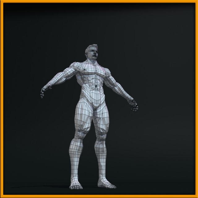realistic male body 3D Model in Man 3DExport