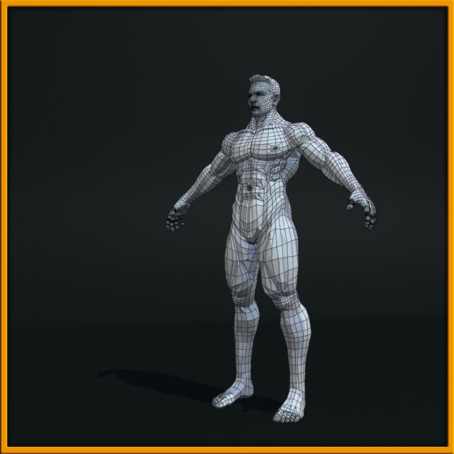 realistic male body 3D Model in Man 3DExport