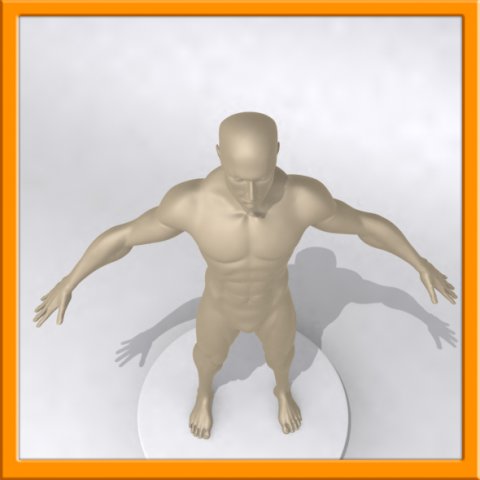 realistic male muscle 3D Model in Man 3DExport