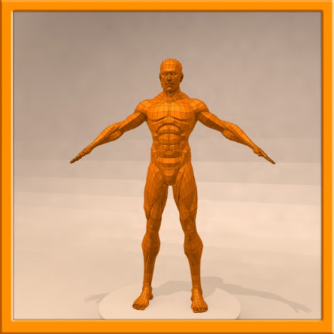 realistic male muscle 3D Model in Man 3DExport