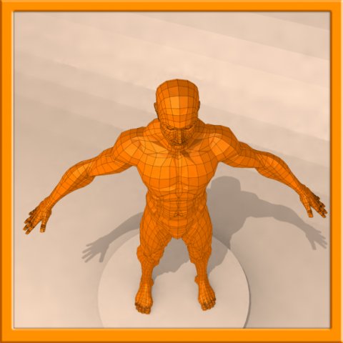 realistic male muscle 3D Model in Man 3DExport