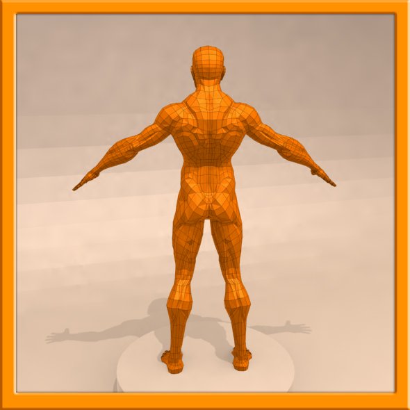 REALISTIC Male muscle 3D Model in Man 3DExport