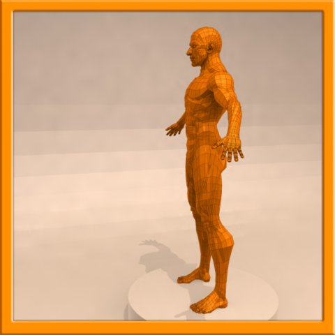 realistic male muscle 3D Model in Man 3DExport