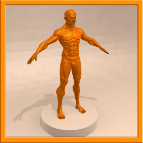 realistic male muscle 3D Model in Man 3DExport