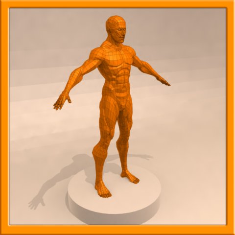 realistic male muscle 3D Model in Man 3DExport