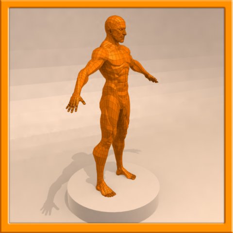 realistic male muscle 3D Model in Man 3DExport