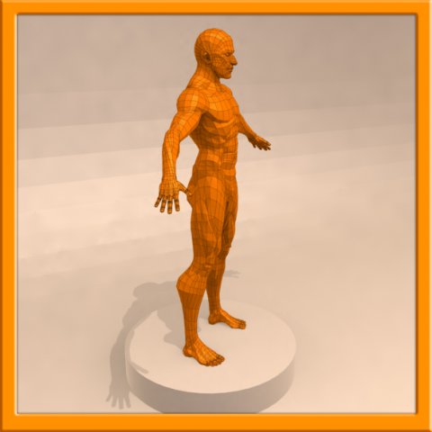 realistic male muscle 3D Model in Man 3DExport