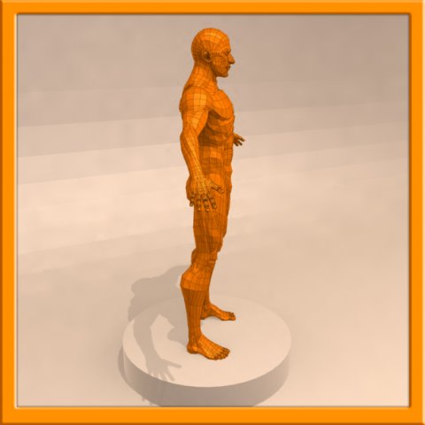 realistic male muscle 3D Model in Man 3DExport