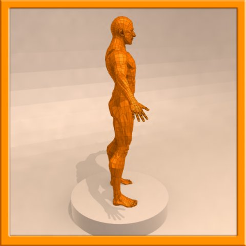 realistic male muscle 3D Model in Man 3DExport
