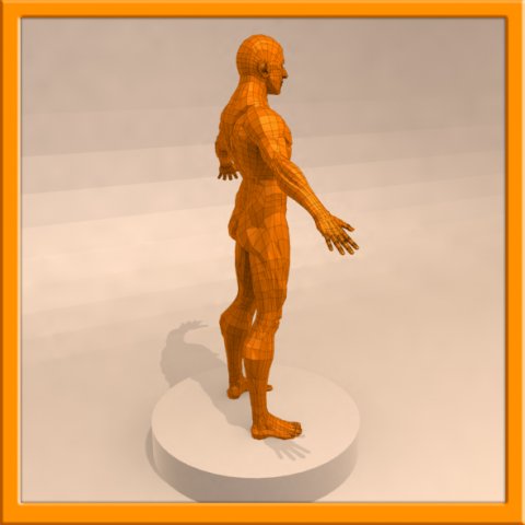 realistic male muscle 3D Model in Man 3DExport