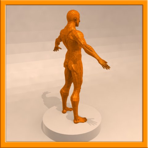 realistic male muscle 3D Model in Man 3DExport