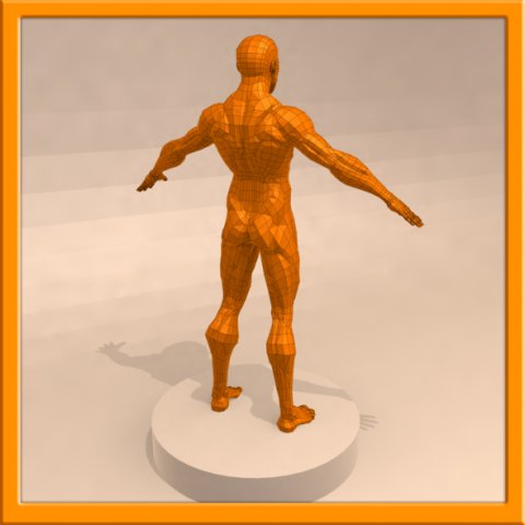 realistic male muscle 3D Model in Man 3DExport