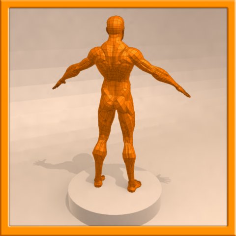 realistic male muscle 3D Model in Man 3DExport